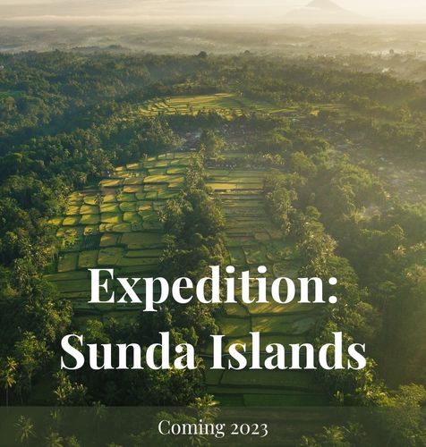 Expedition: Sunda Islands | Adam J. Cheshier